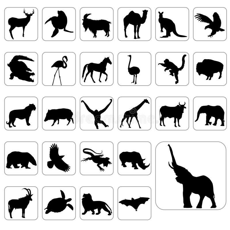 Wild Animals Vector Set - Free Photo from StockFreeImages
