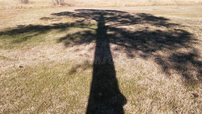 Big shadow of a tree stock image. Image of tree, headstone - 205803141