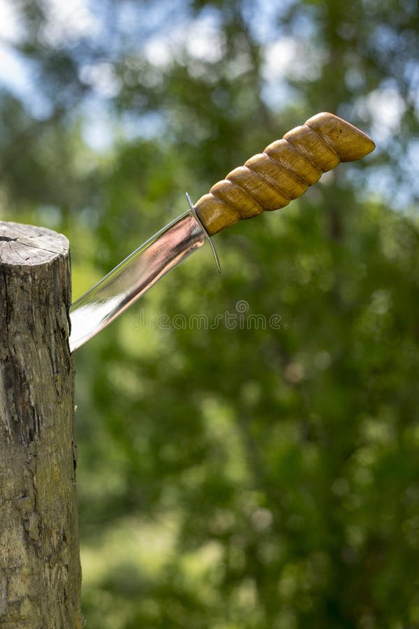 Big Sharp Knife Sticks Out in the Tree Stock Image - Image of sharp ...