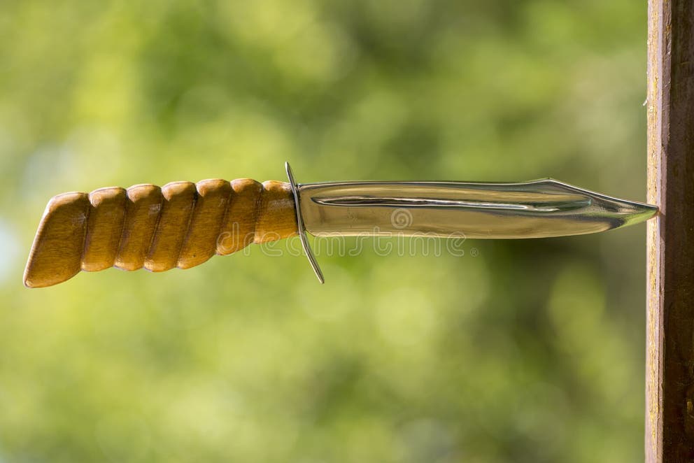 Big Sharp Knife Sticks Out in the Tree Stock Image - Image of sharp ...