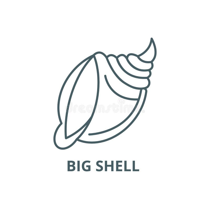Big Shell Line Icon, Vector. Big Shell Outline Sign, Concept Symbol ...
