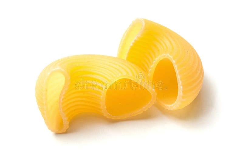 Big Shells Pasta on White Background Stock Photo - Image of collection ...