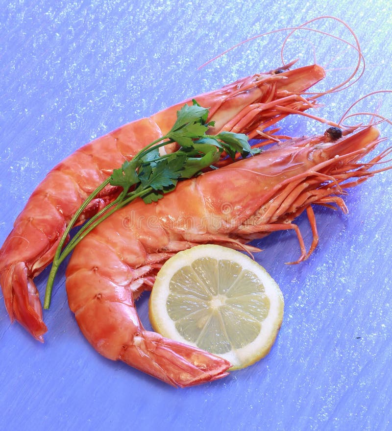 Big shrimps stock image. Image of cooked, appetizer, american - 13848971