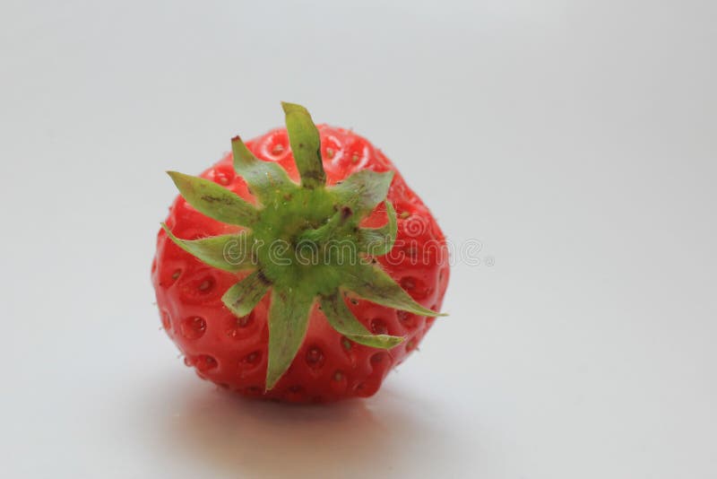 Big single strawberry stock photo. Image of food, healthy - 117630374