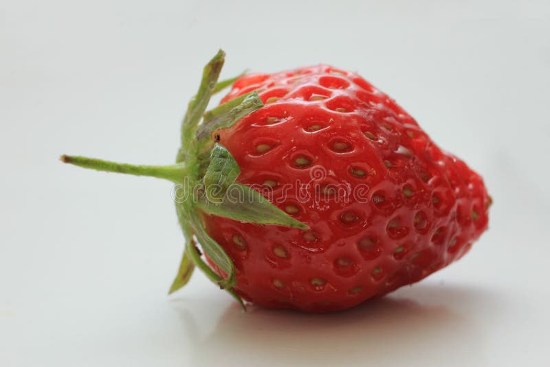 Big single strawberry stock image. Image of fruit, food - 221616565