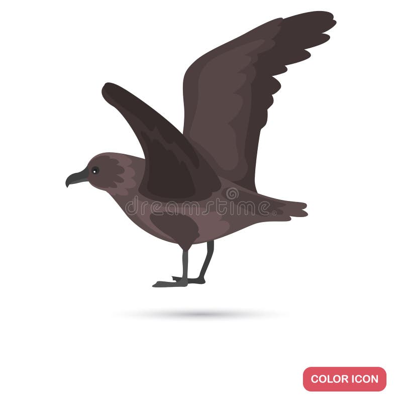 Skua Stock Illustrations – 168 Skua Stock Illustrations, Vectors & Clipart - Dreamstime