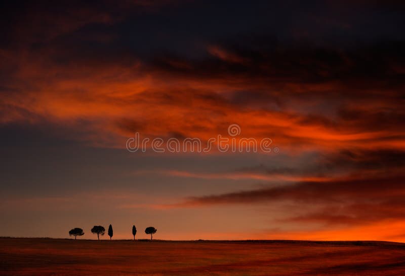 Big Sky Dramatic Sunset Horizon with Trees Stock Photo - Image of ...