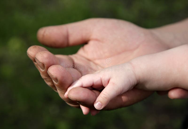 Child hands praying stock photo. Image of close, fingers - 2027422