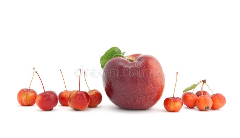 Row of Apples with Leaves on White Background Stock Image - Image of ...