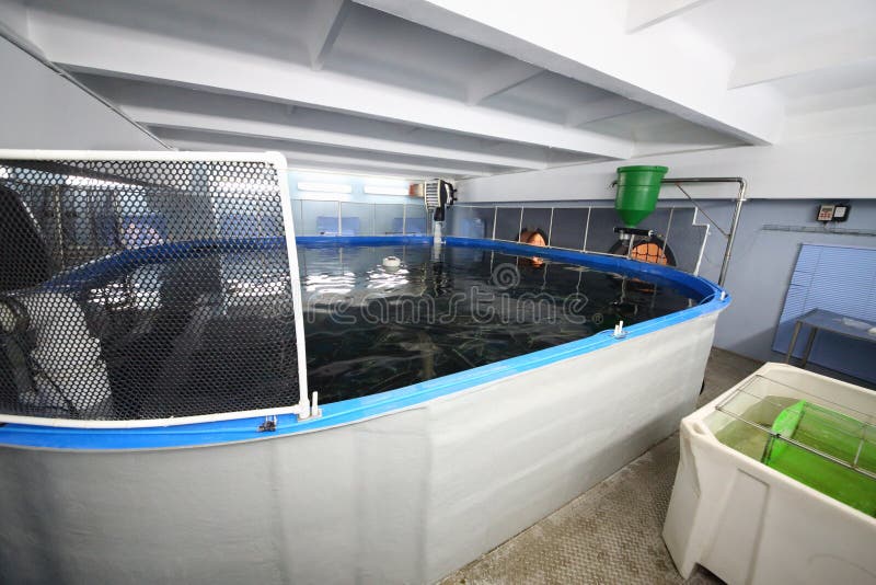 Big and Small Basin with Water in Empty Workshop Stock Image - Image of ...