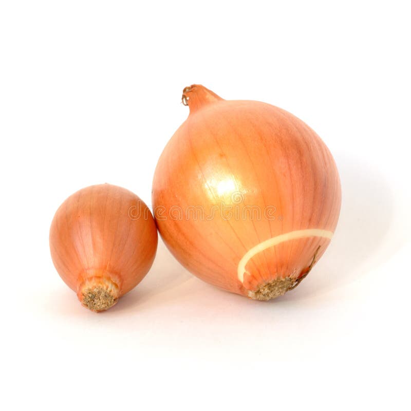 Big and Small Onions with Peel Isolated on White Stock Image - Image of ...