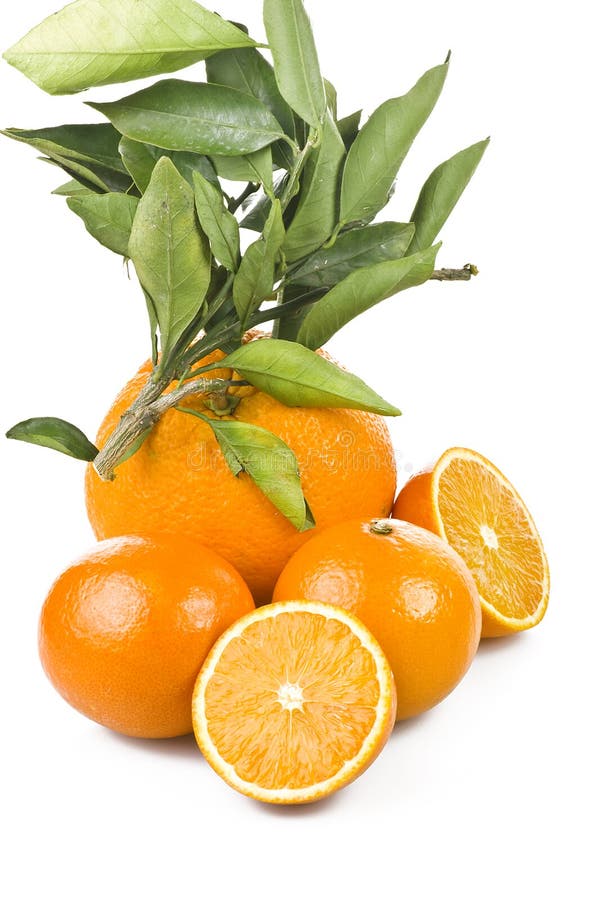 Big and Small Orange stock image. Image of horizontal - 22604307