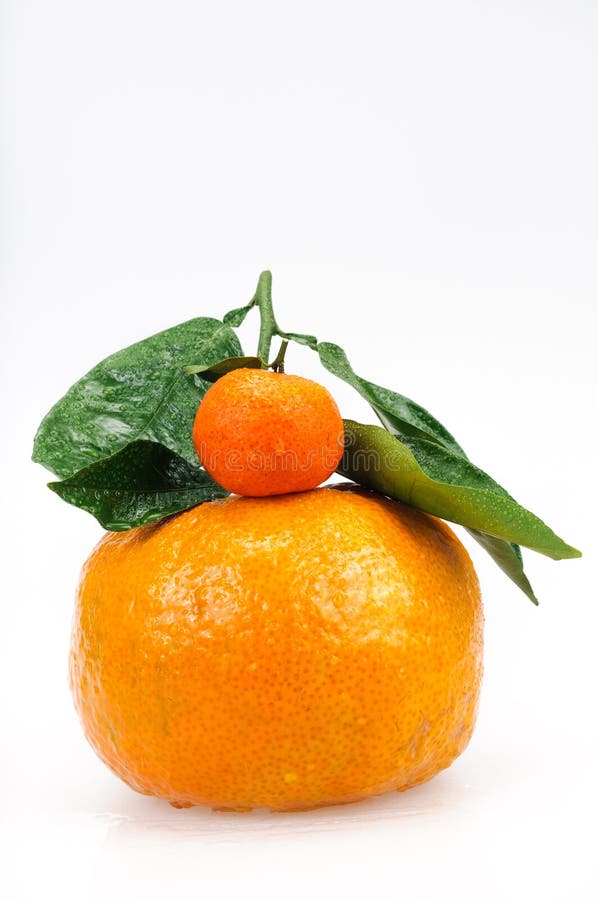 Big Small Pair Fruit Stock Photos - Free & Royalty-Free Stock Photos ...