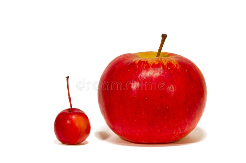 Big And Small Red Apples On White Stock Photography - Image: 21883702