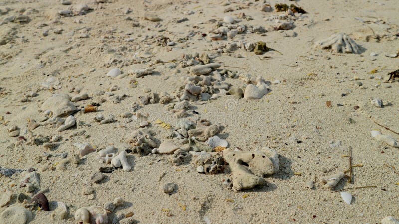 Big and Small Rocks on the Sea Sand Stock Photo - Image of environment ...