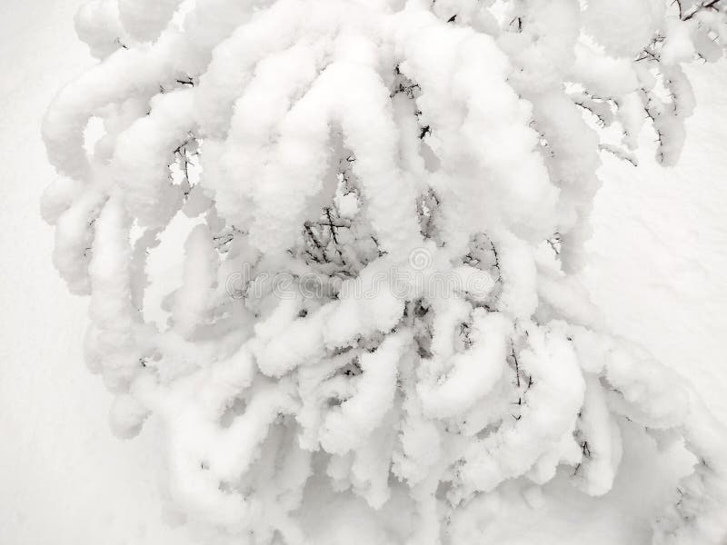 Big Snow in the Winter in Maramures, Romania Stock Photo - Image of ...