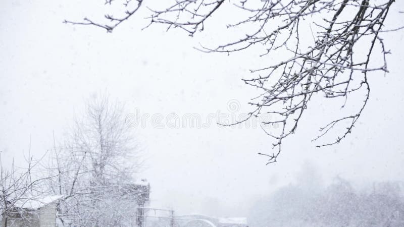 Big snowflakes falling stock video. Video of weather - 62992071