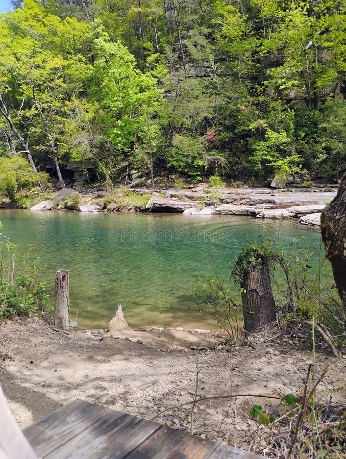 Big Soddy Gulf Spring Swim stock photo. Image of swim - 375617434