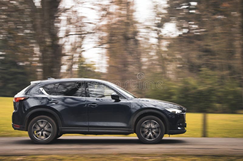 Big Spacious Black Car Driving Around a Park with Trees Stock Photo ...
