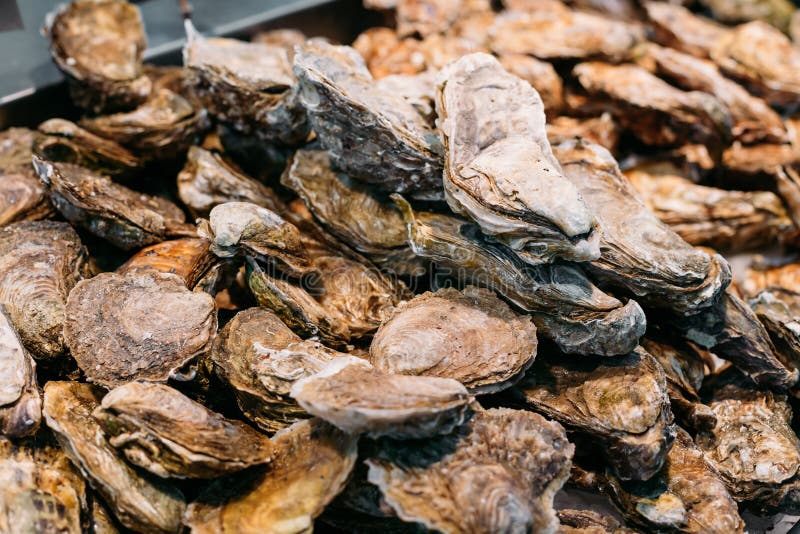 Big Spanish Shells on Market Store Shop Stock Photo - Image of ...