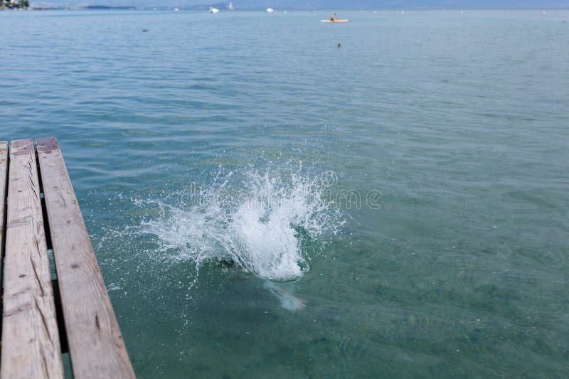 Big Splashes on the Water after the Jump Stock Image - Image of swim ...