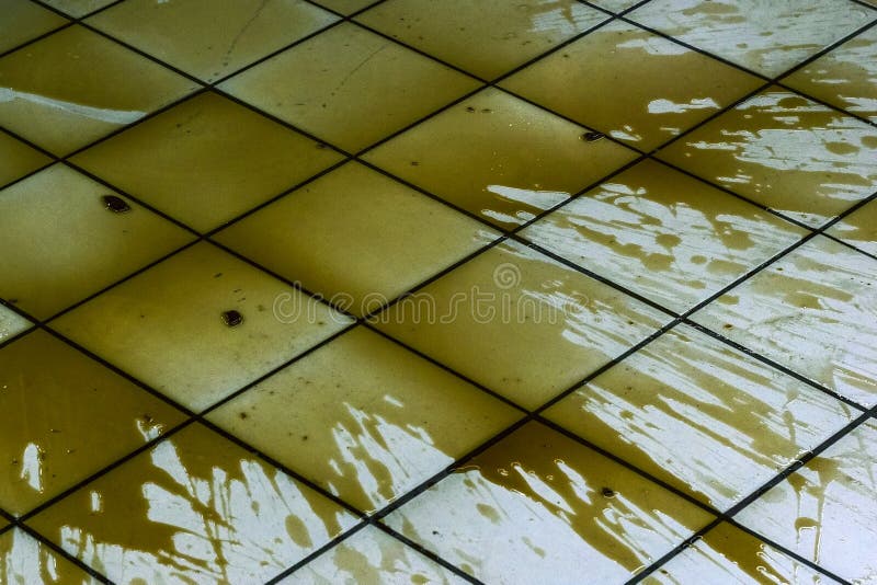 Big Spot on Light Tile. Spilled Dark Liquid on a Floor. Stock Photo ...