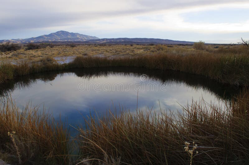 Big Spring in Ash Meadows Nevada Stock Photo - Image of springs ...