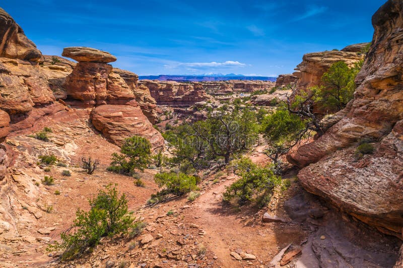 Big Spring Canyon stock photo. Image of utah, district - 32271172