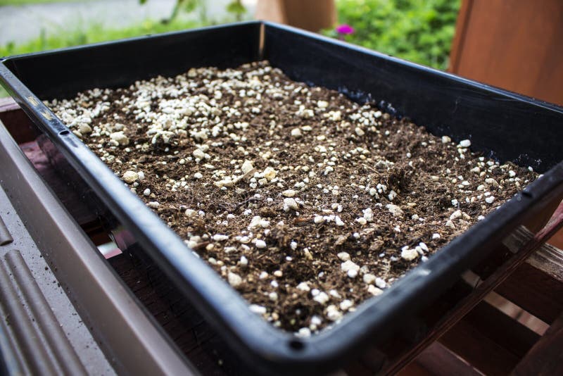 A Big Square Pot with Brown Soil and Fertilizer Stock Image - Image of ...