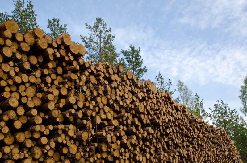 Big stack stock image. Image of abstract, stack, annual - 25060405