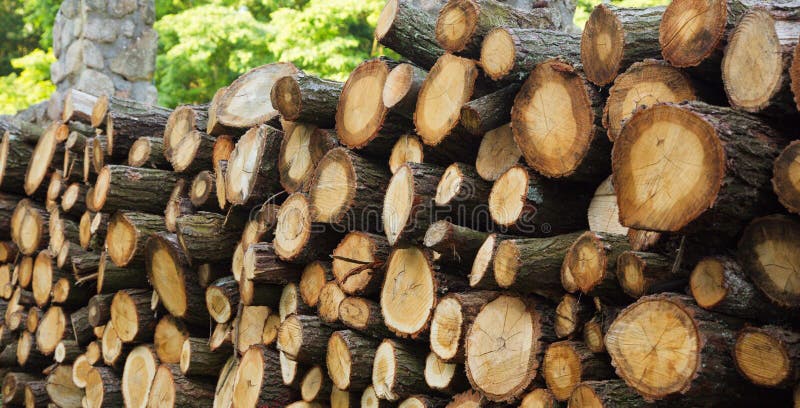 Big Stack of firewood. stock photo. Image of pine, pile - 90815426