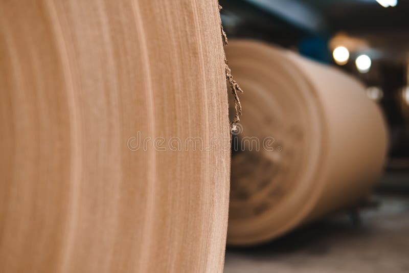 Big Stack of Printing Paper Rolls in Warehouse. the Concept of ...