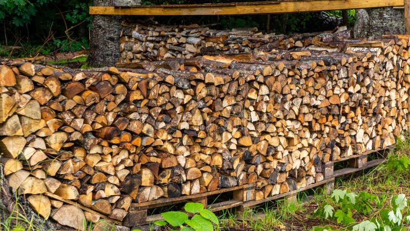 Big Stack of Wood Logs Cut and Arranged Together Stock Image - Image of ...