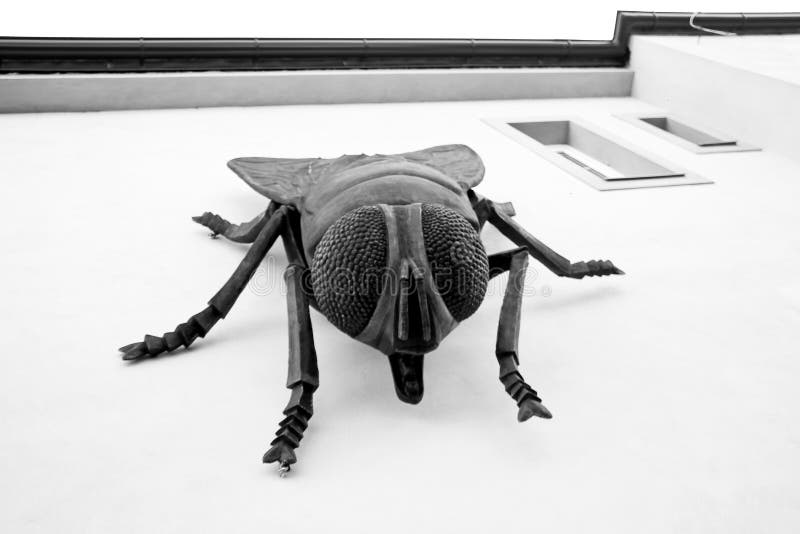 A big statue of the fly stock image. Image of statue - 104253691