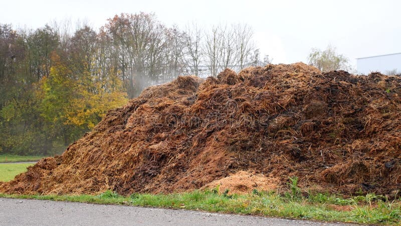 Big Steaming Dung Heap on a Field Stock Video - Video of stack, idyll ...
