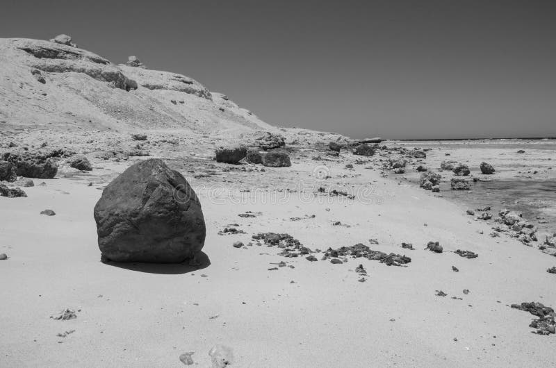 Big stone on the beach. stock photo. Image of seascape - 135871654