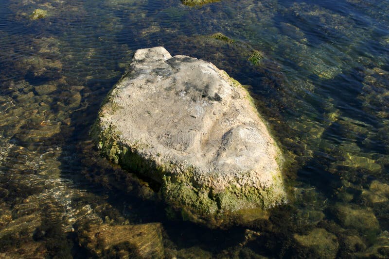 Big Stone on Clear Sea Water with Algae Stock Photo - Image of pebble ...