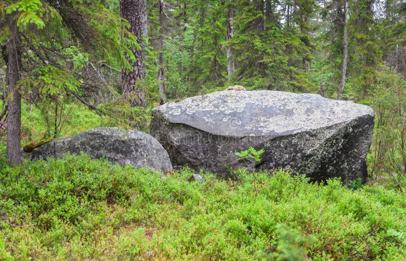 Big stone in forest stock photo. Image of boulder, landscape - 79994708
