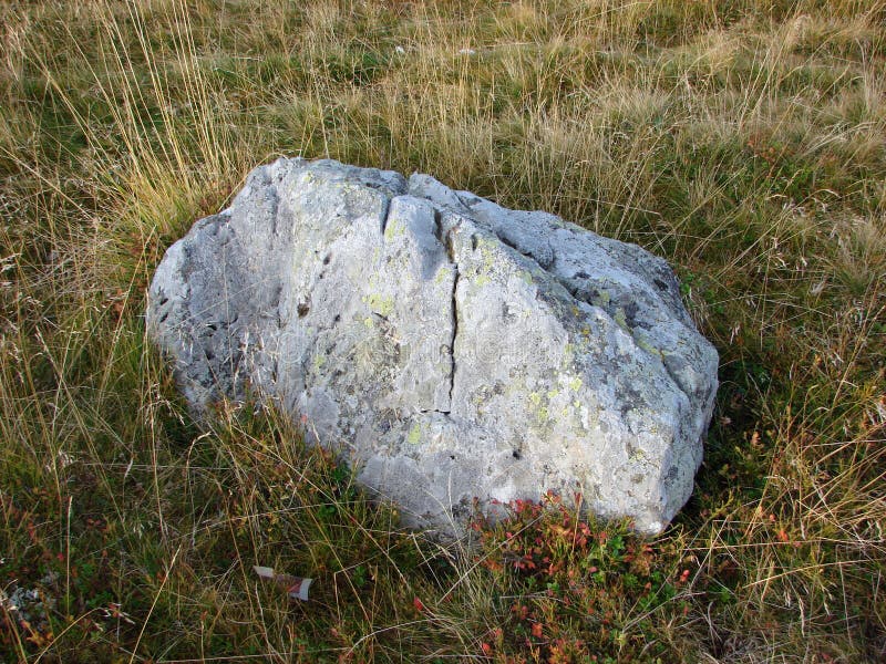 Big sotne on grass stock photo. Image of nature, brown - 111992840