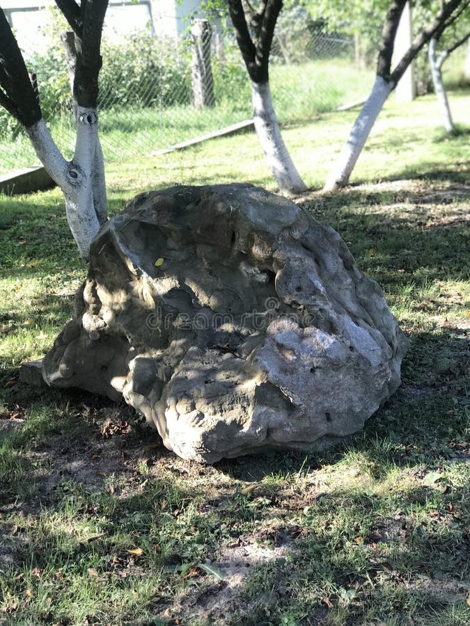 Big stone stock photo. Image of stone, trees, gray, green - 227596272