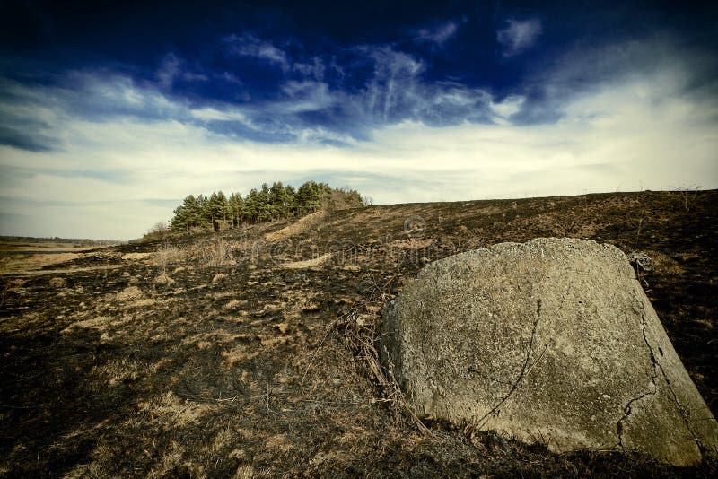 Big stone near the forest stock image. Image of field - 36939895