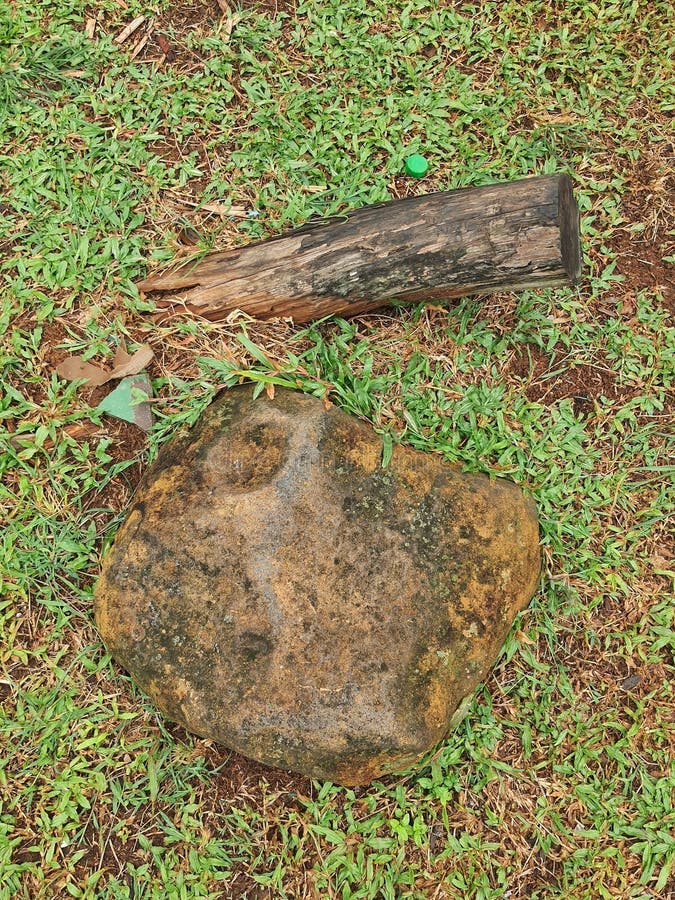 A Big Stone and Tree Log on a Green Grass Yard Stock Image - Image of ...