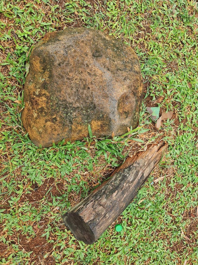 A Big Stone and Tree Log on a Green Grass Yard Stock Photo - Image of ...