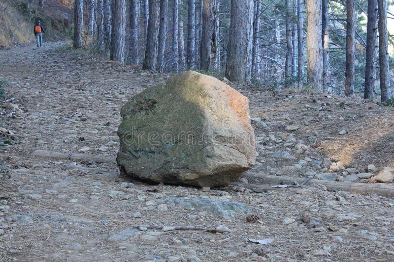 Big stone in the wood stock photo. Image of landscape - 83795450