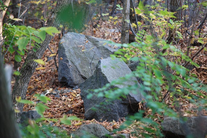 Big stones stock photo. Image of yellow, stone, autumn - 84514700