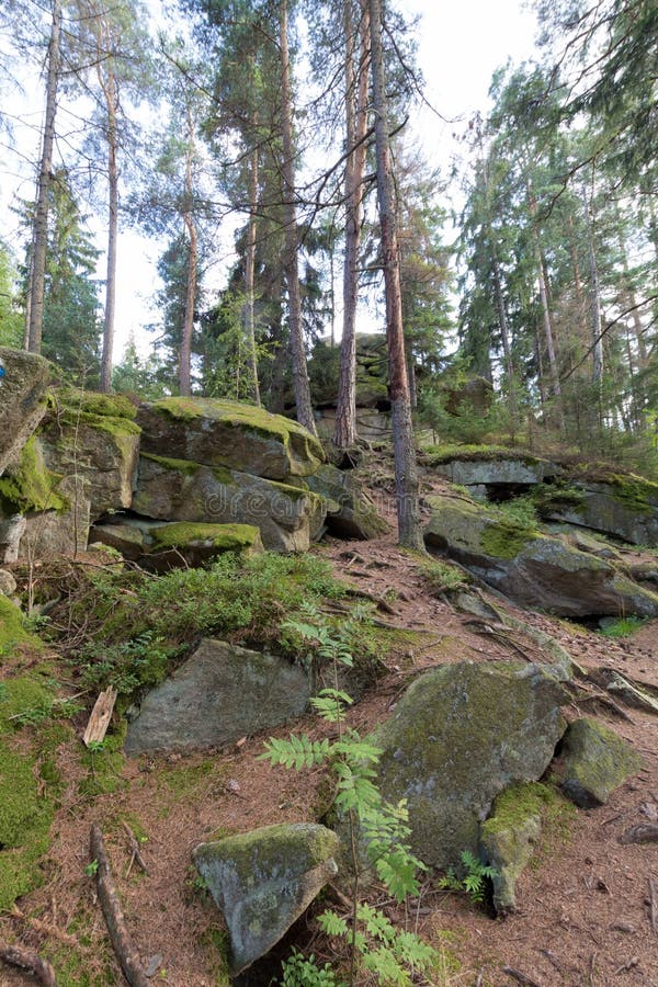 Big Stones in the Green Forest Stock Photo - Image of natural, rocks ...