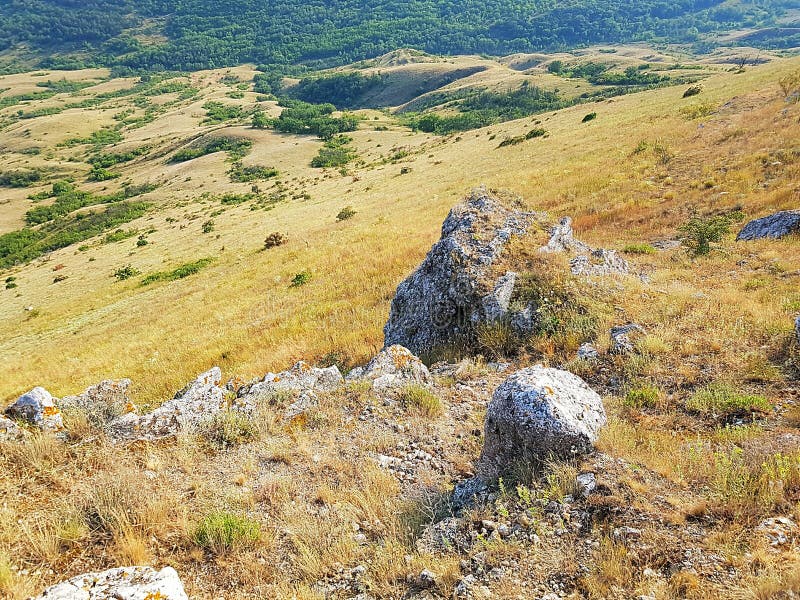 Stones on the hillside stock image. Image of rock, grass - 42006909