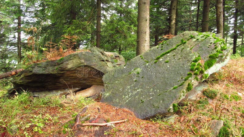 Big stones stock photo. Image of biology, stone, rocks - 60113850