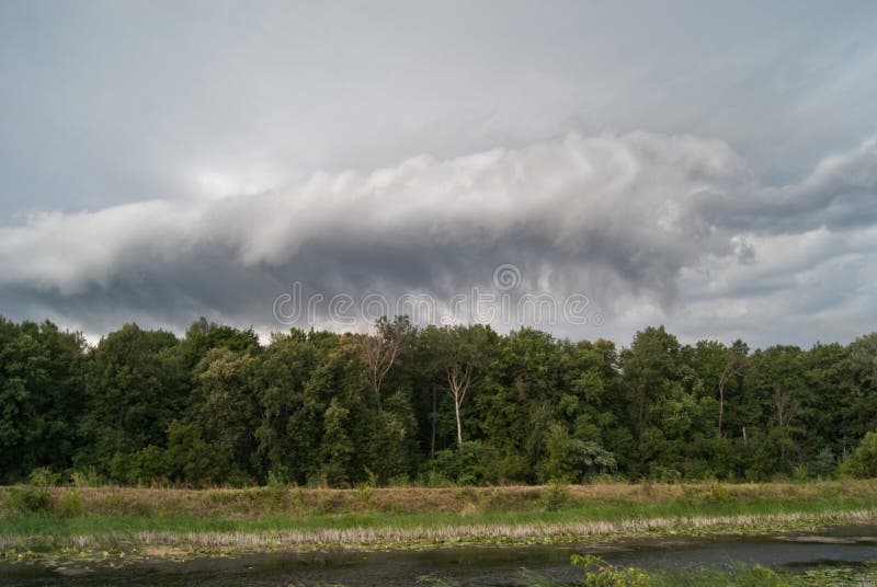 Big Storm Cloud Flying Out from Behind the Forest Stock Image - Image ...