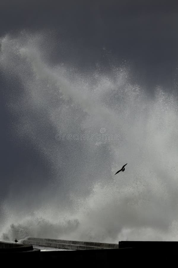 Seawall Splash stock image. Image of wall, force, pier - 19545185